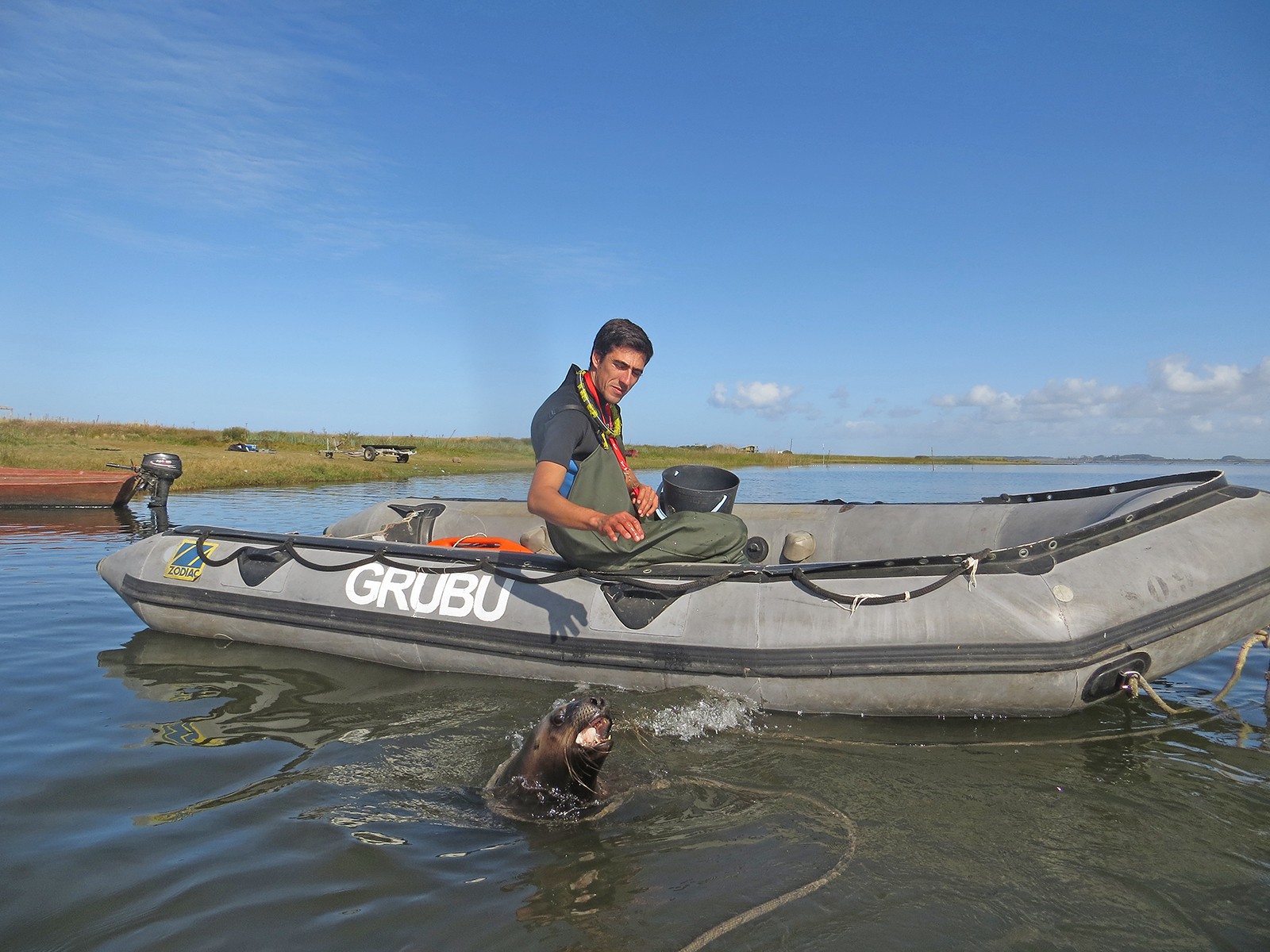 ¿Qué hacemos? - Sea Lion Experience